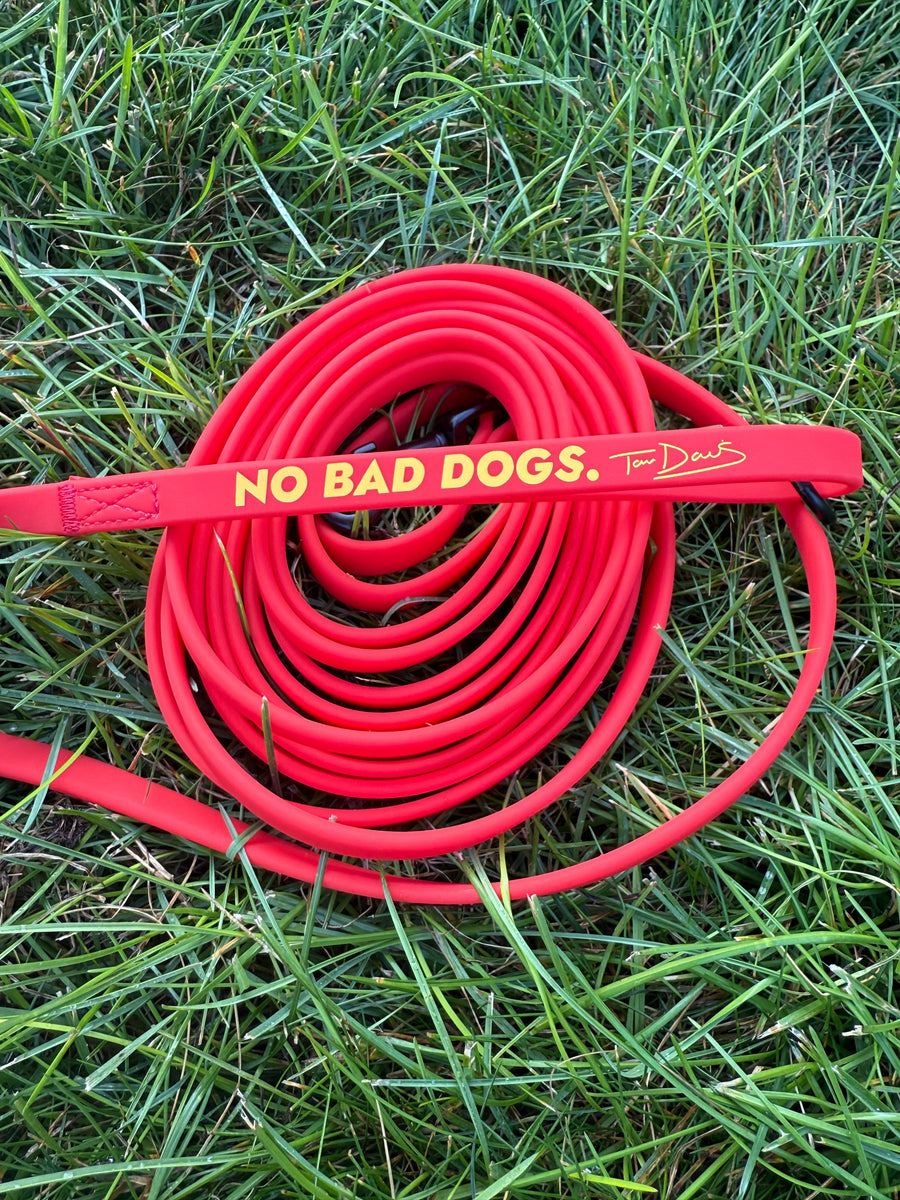 New Arrivals – No Bad Dogs Official
