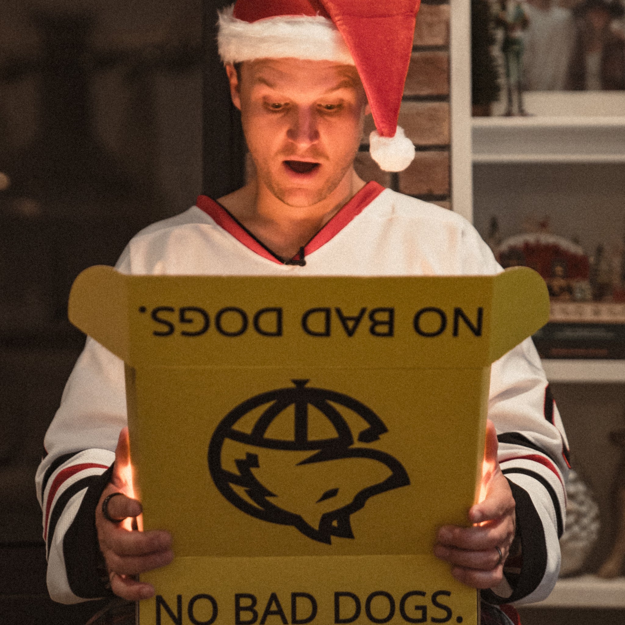 Collections – No Bad Dogs Official