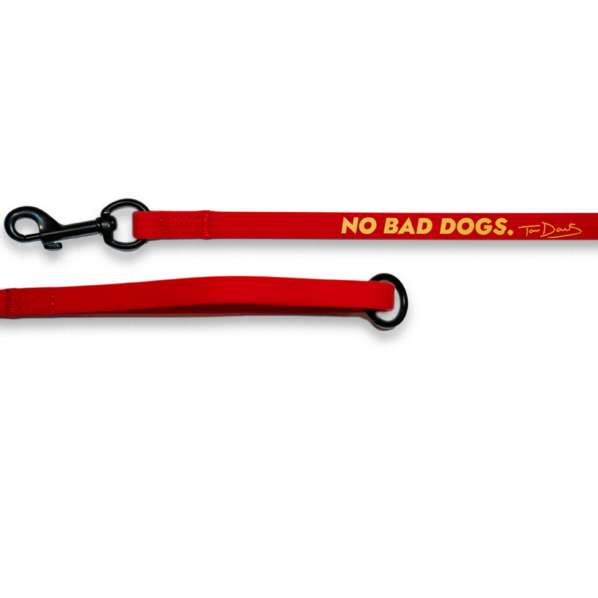 Gummy Training Leash – No Bad Dogs Official