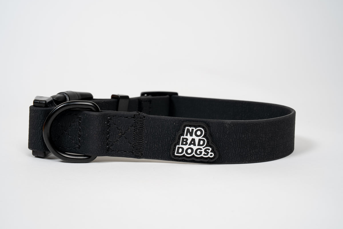 Everyday Collar – No Bad Dogs Official