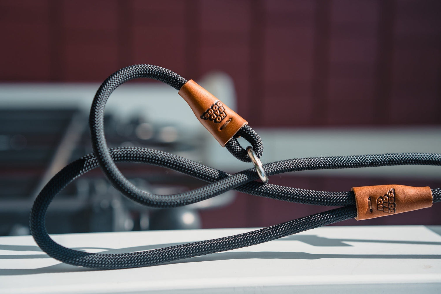 No Bad Dogs Slip Leash – No Bad Dogs Official