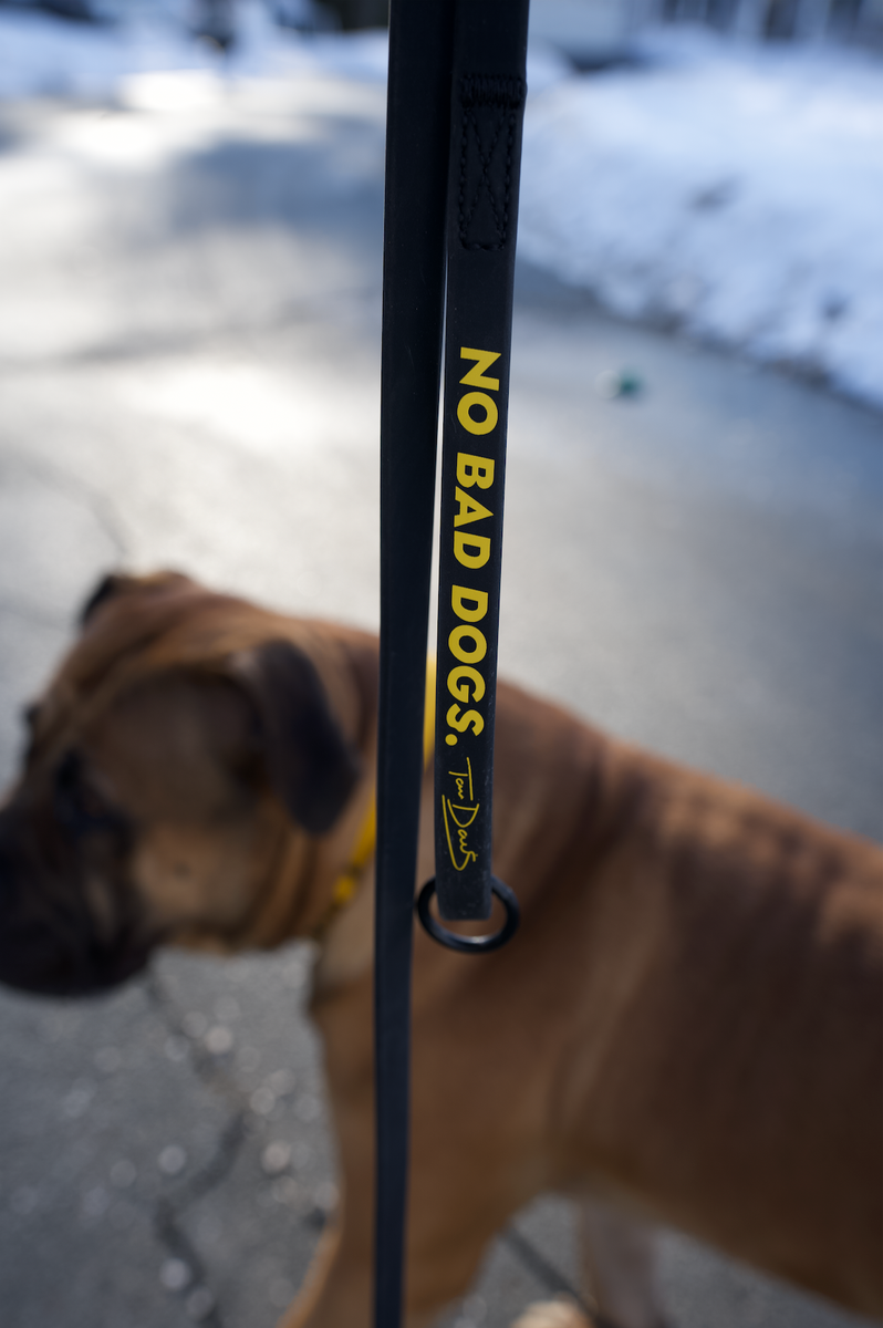 Pro 15-foot Long Line – No Bad Dogs Official