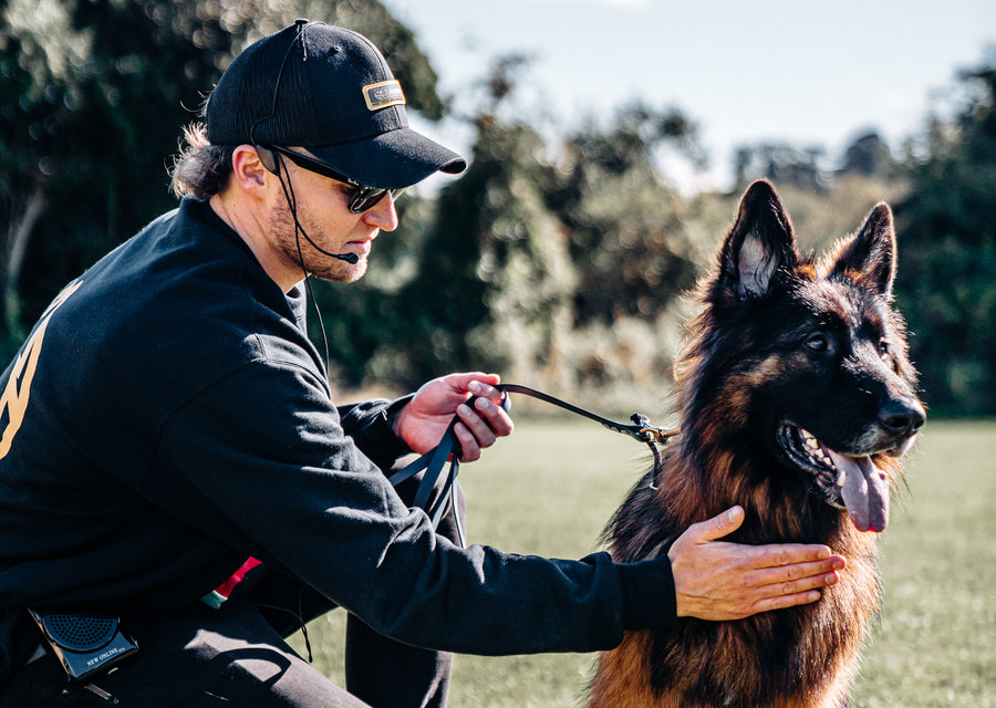 No Bad Dogs. Official Store – No Bad Dogs Official